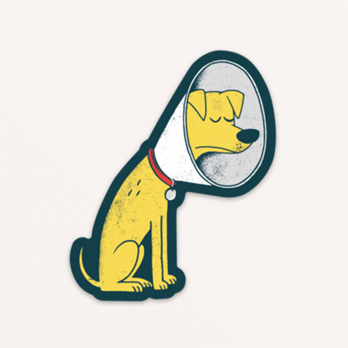 Fun Vinyl stickers with Seattle PNW vibe | Factory 43